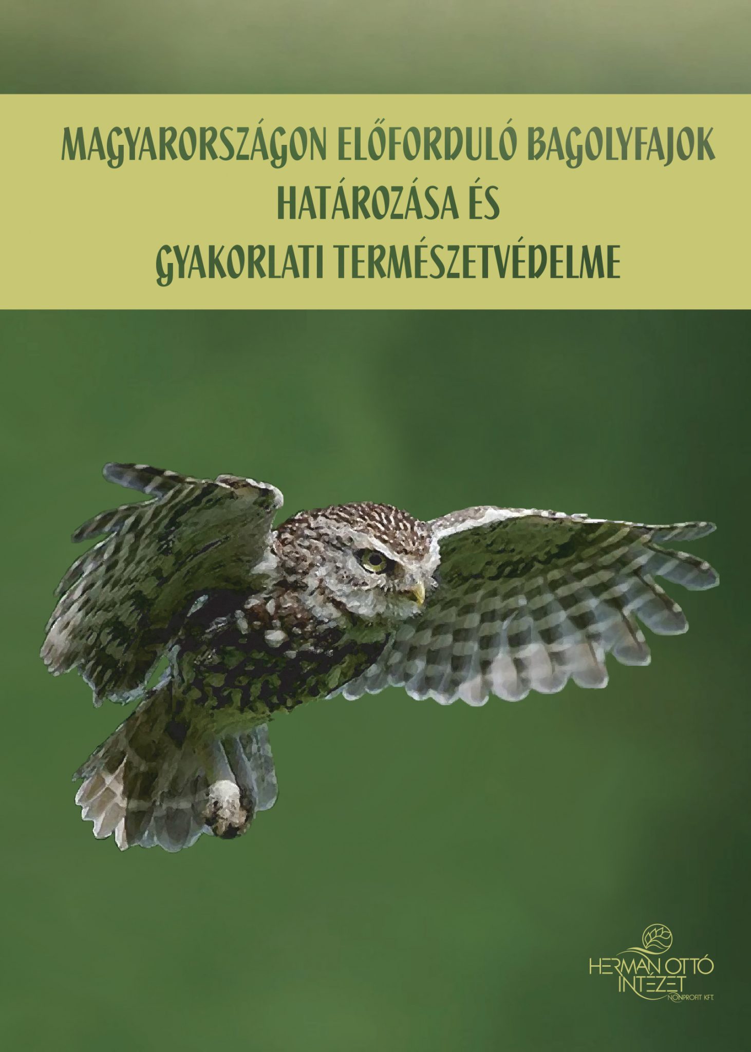 Owl Identification guide – Milvus Group