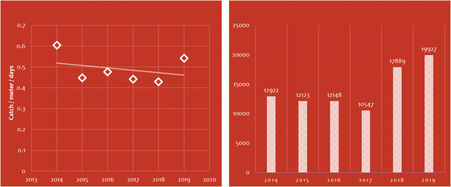 Am încheiat cu succes al șaselea sezon consecutiv de inelare pe Grindul ...