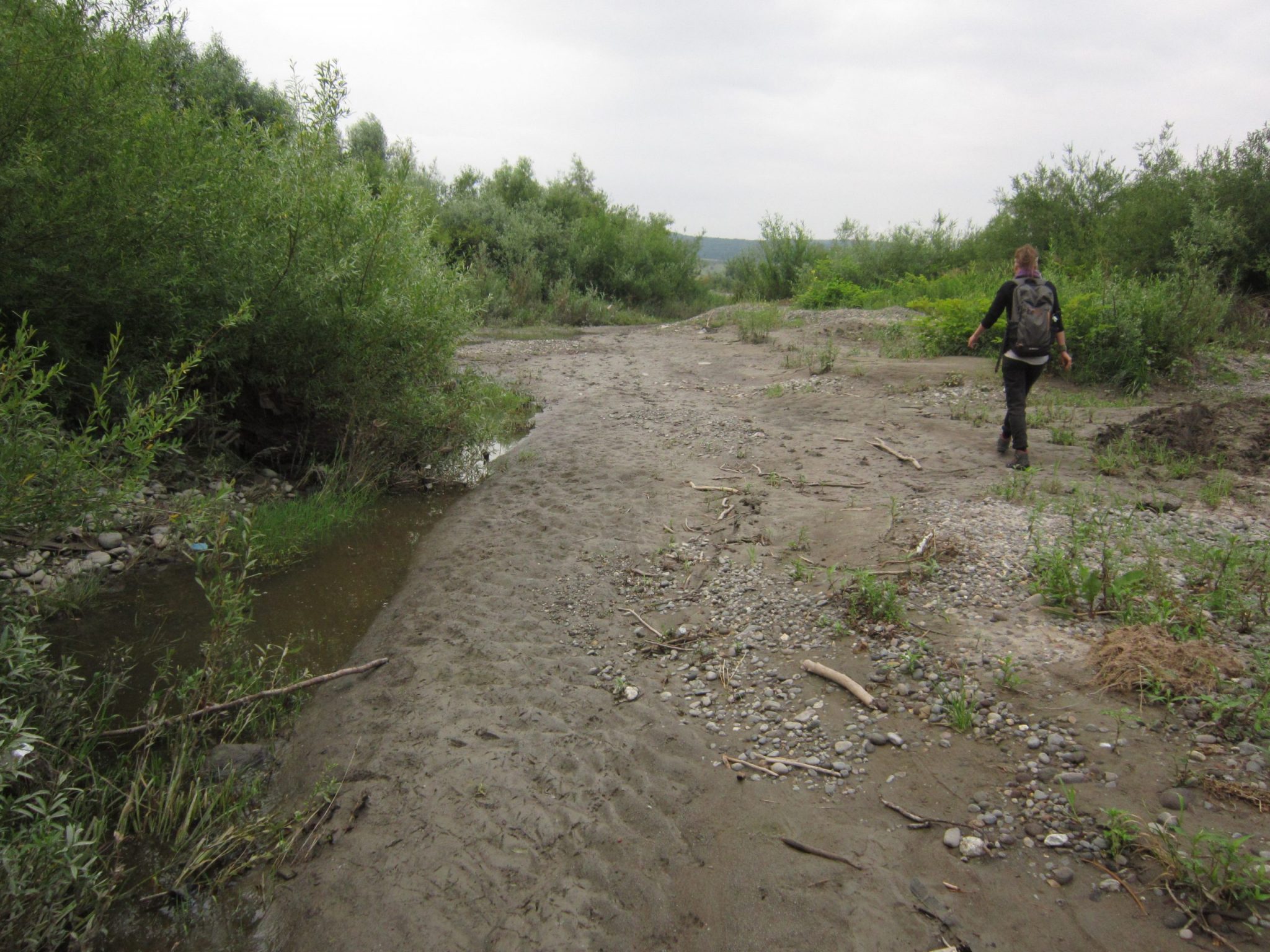 Situl Natura 2000: Râul Mureș între Iernuțeni și Periș – Milvus Group