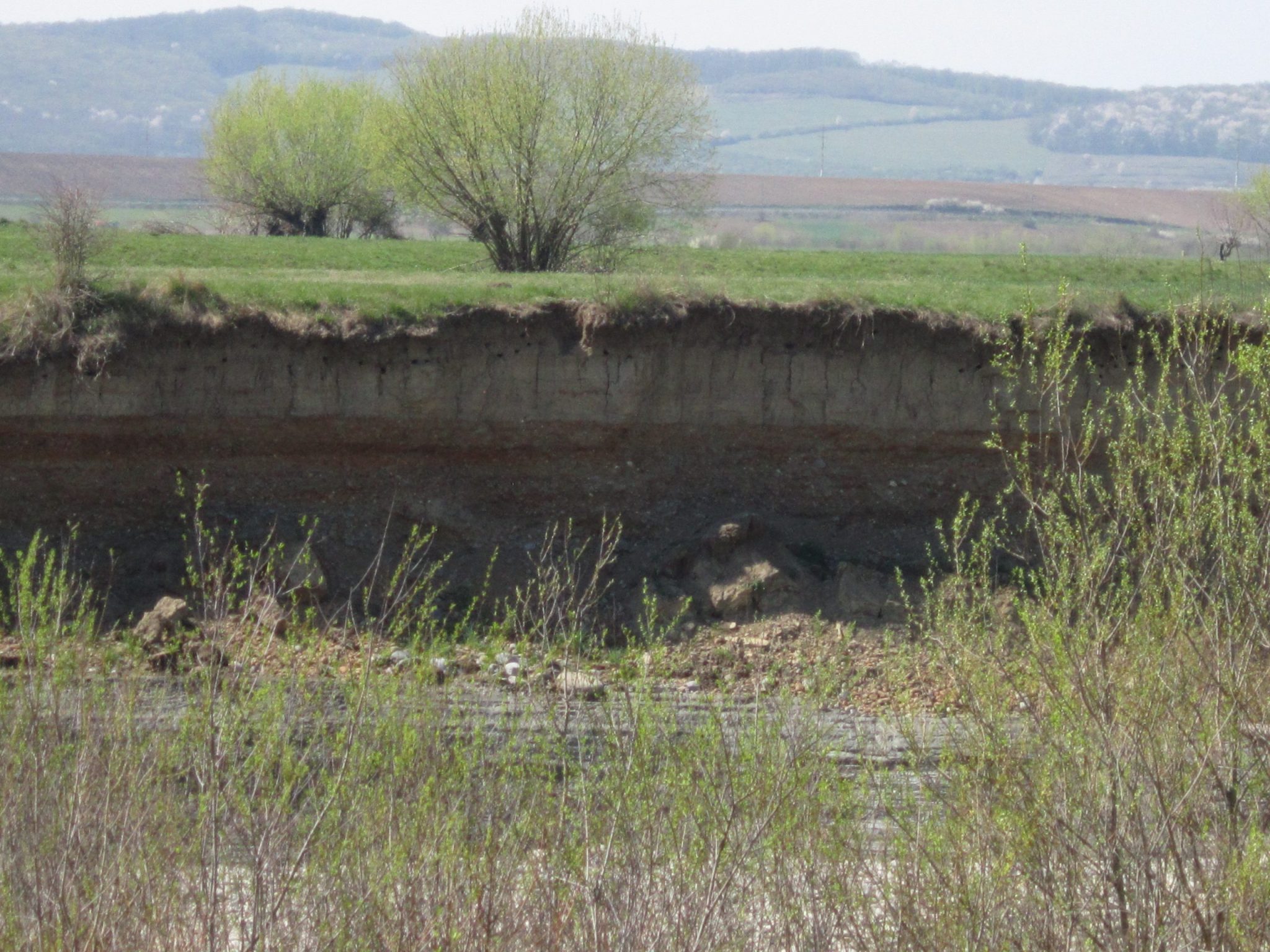 Situl Natura 2000: Râul Mureș între Iernuțeni și Periș – Milvus Group