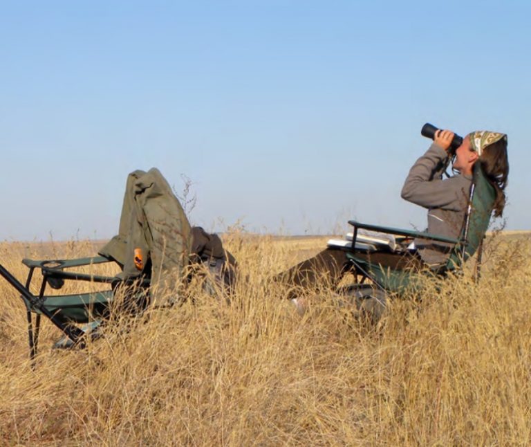 Milvus Group – Bird and Nature Protection Association