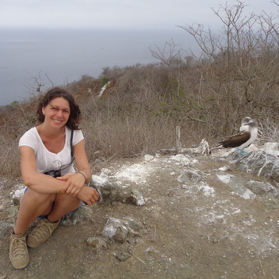 Echipa Milvus – Milvus Group