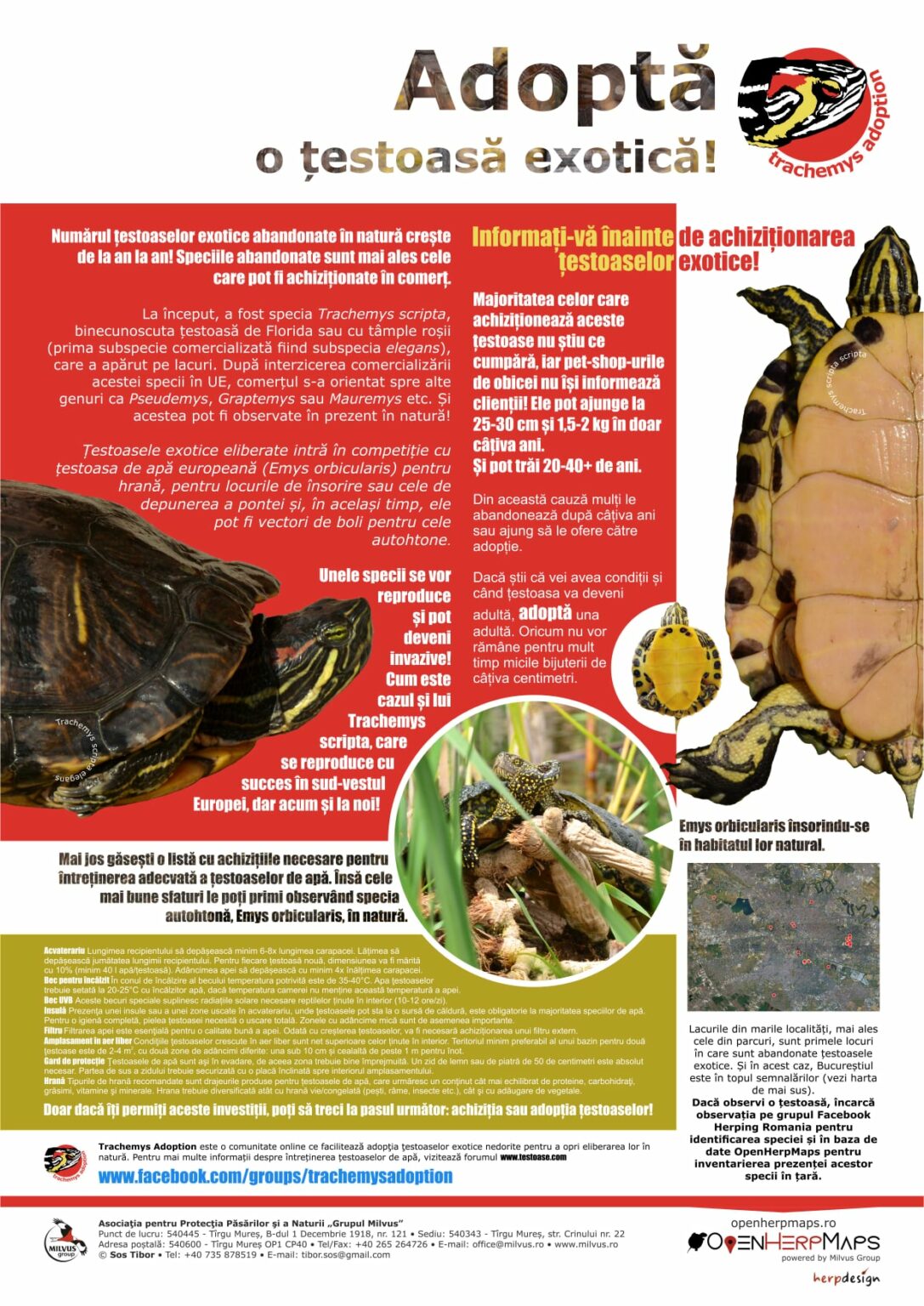 Țestoase exotice în natură – Milvus Group