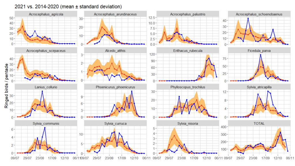 14000 de păsări inelate în 2021, în tabăra de inelare de pe Grindul ...