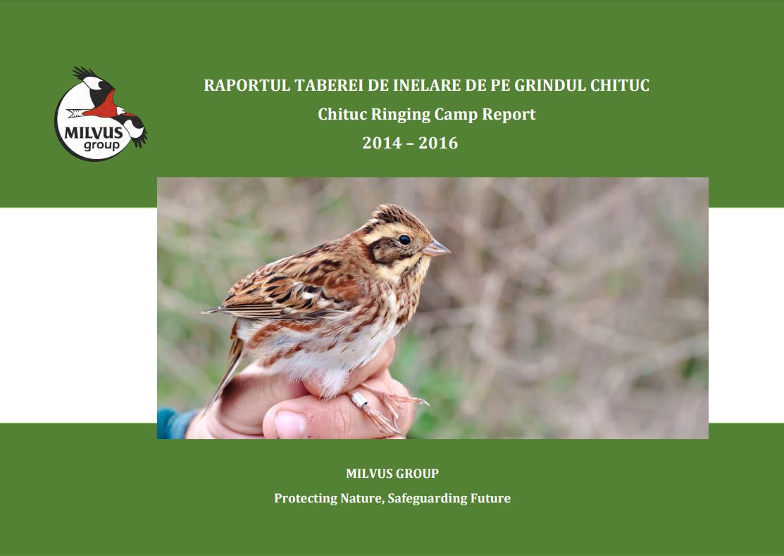 Raportul taberei de inelare de pe Grindul Chituc 2014 – 2016 – Milvus Group