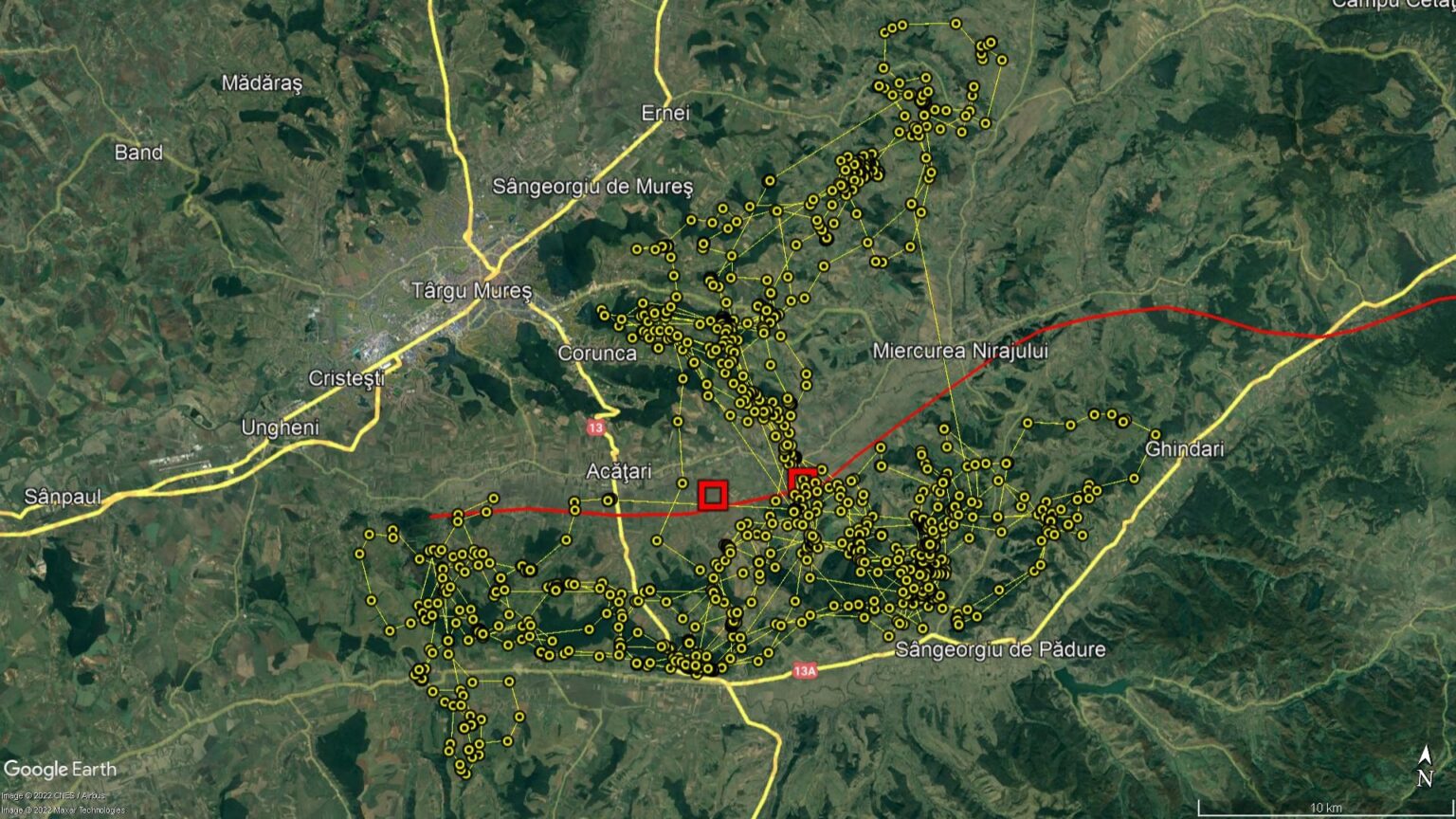 Despre urși și autostrăzi – Milvus Group