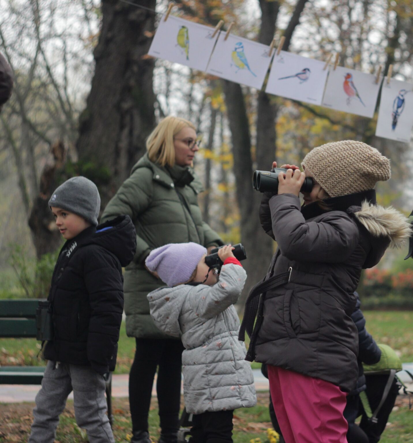 Milvus Group – Bird and Nature Protection Association