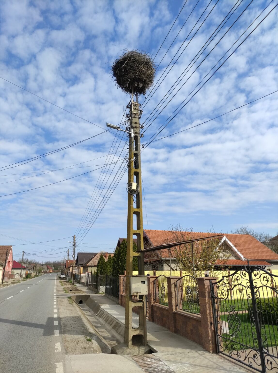 Oamenii și animalele pot coexista – Milvus Group