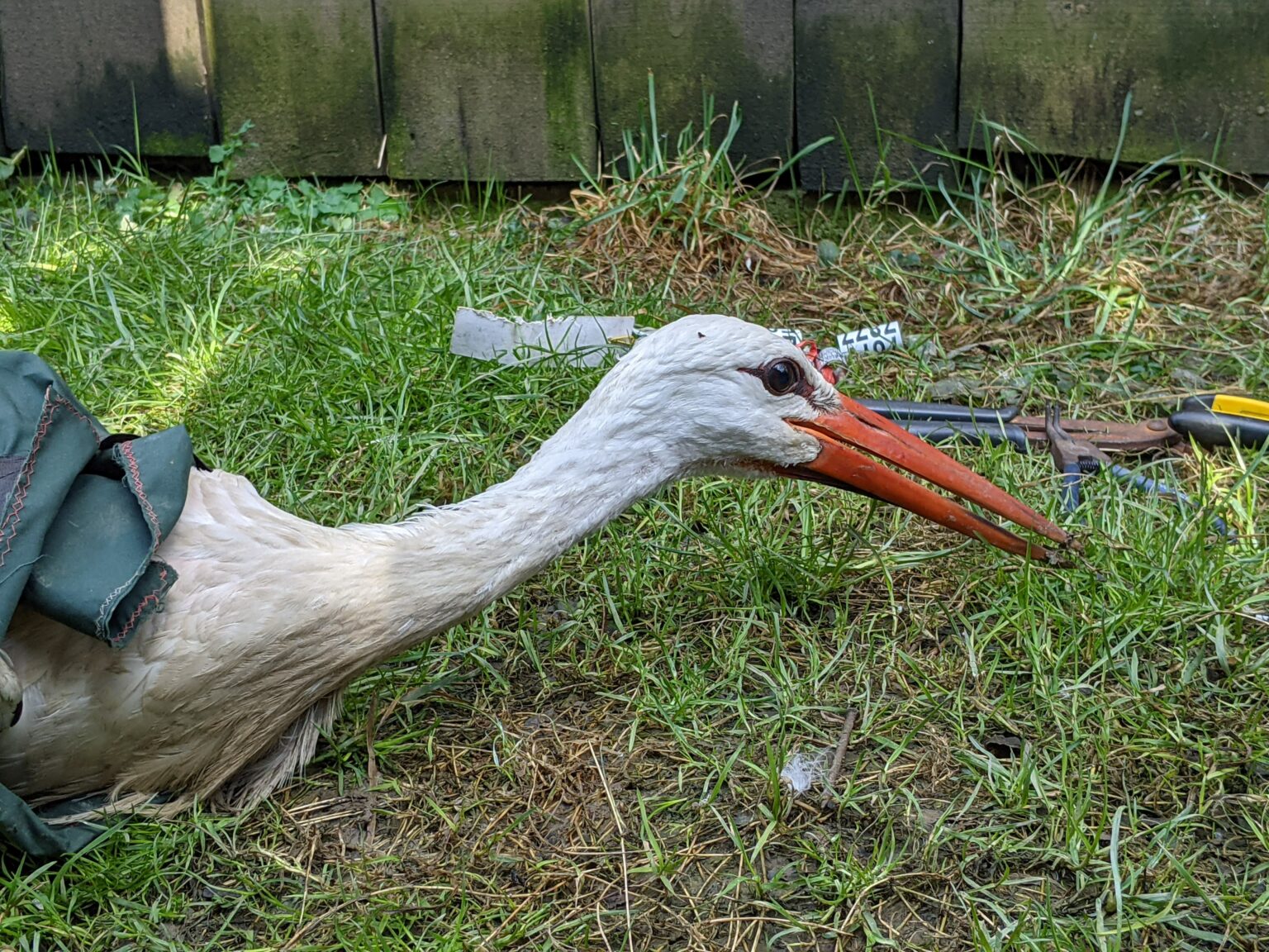 Webcam Berze 2 – Milvus Group