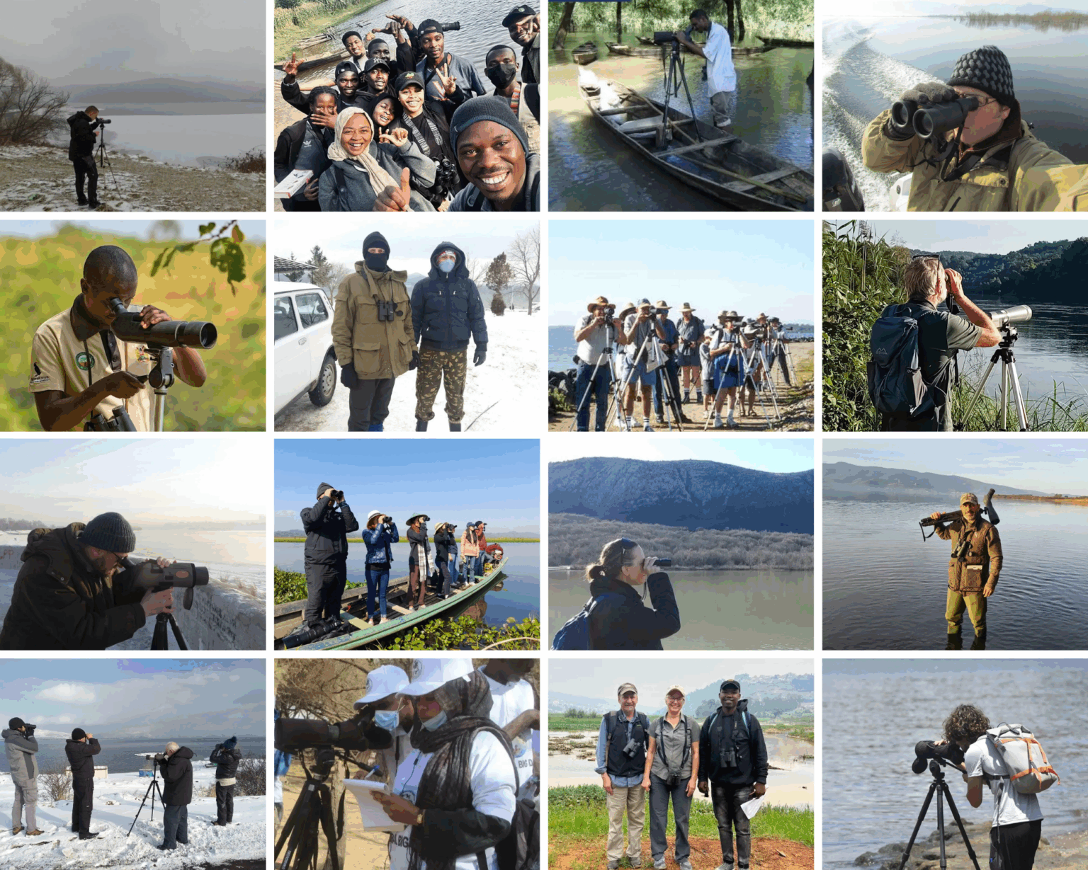 Six decades of International Waterbird Census – Milvus Group
